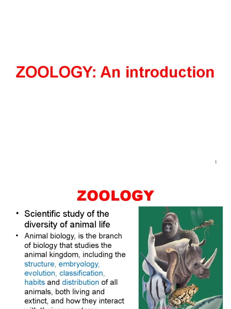 Introduction To Zoology and Characteristics of Animals | PDF | Zoology ...