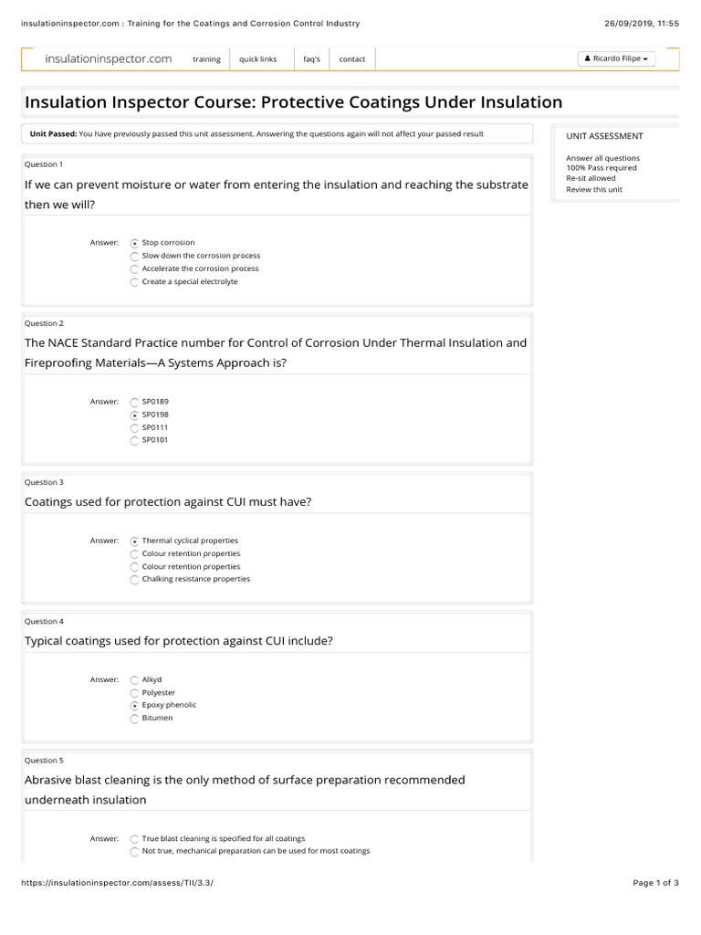 Protective Coating Under Insulation | PDF | Corrosion | Stainless Steel