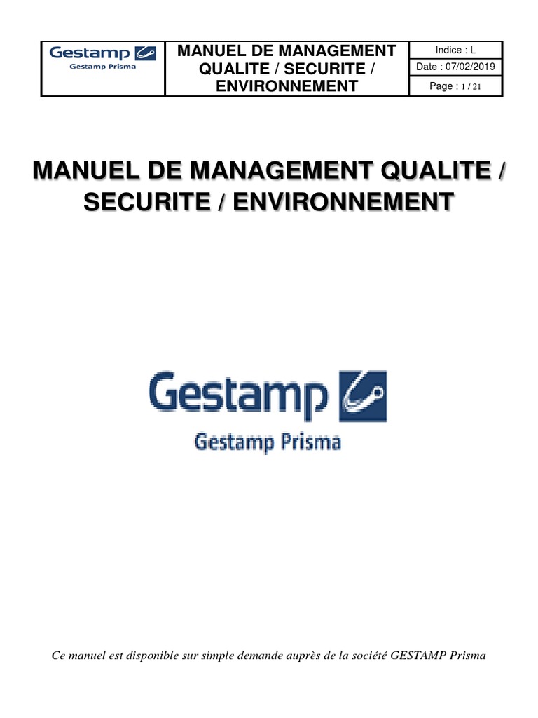 Manuel de Management Qse 2019 | PDF