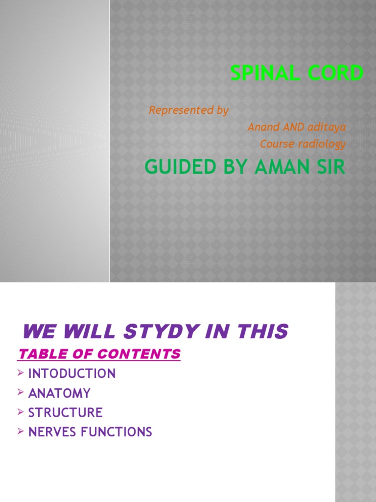 Spinal Cord PPT Mrit | PDF