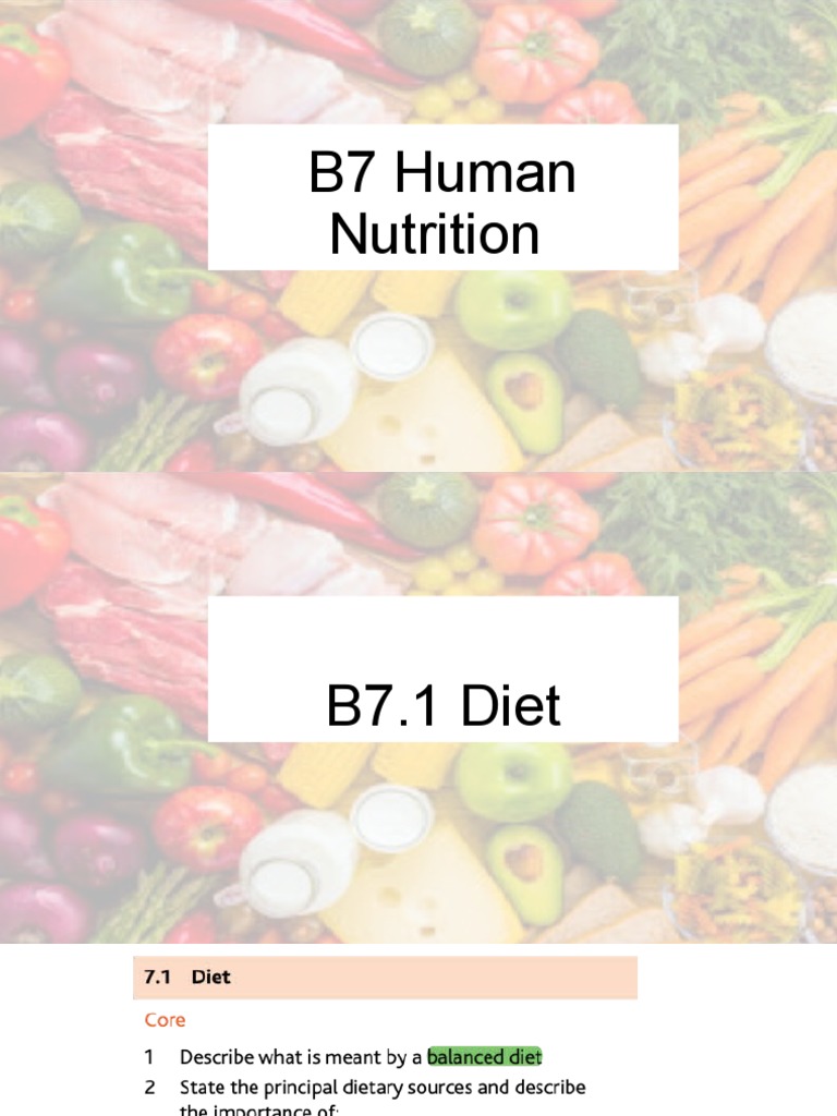 01 - B7 Human Nutrition - PPT 2022-23 | PDF | Digestion | Small Intestine