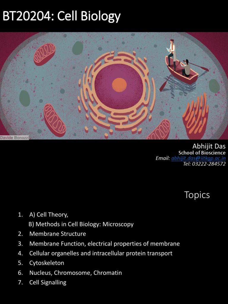 BT20204 (Cell Biology) Lecture 1- Cell Theory and Origin of Cells | PDF ...