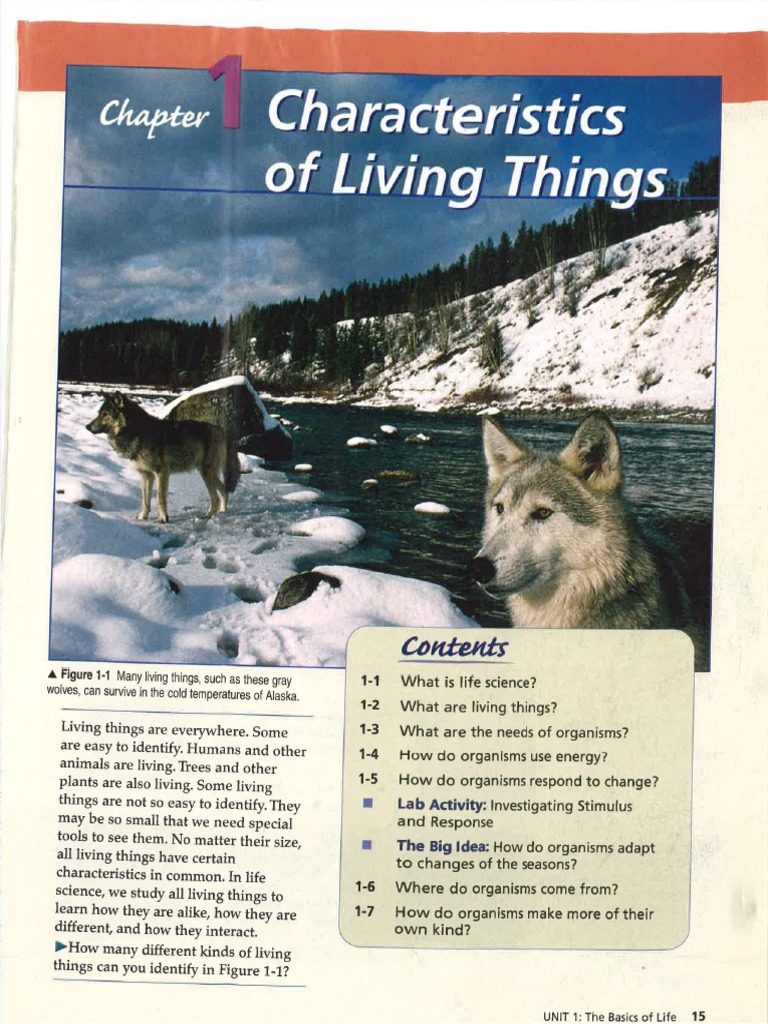 LS Book | PDF