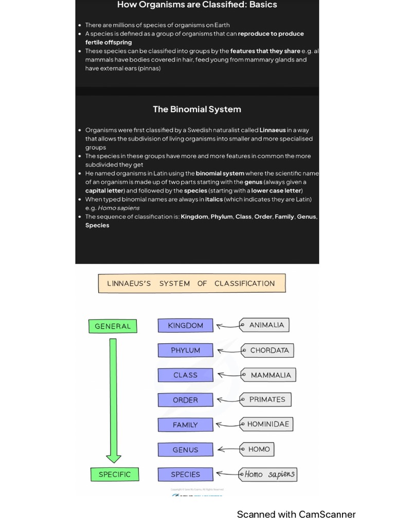 Classification | PDF