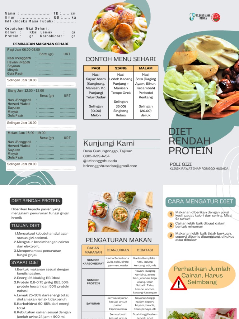 Diet Rendah Protein | PDF