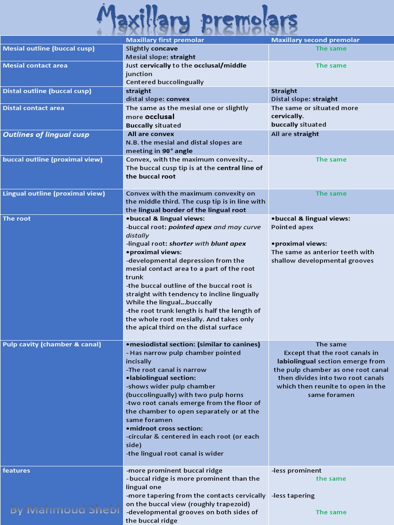 Maxillary Premolars | PDF | Dentistry | Mouth