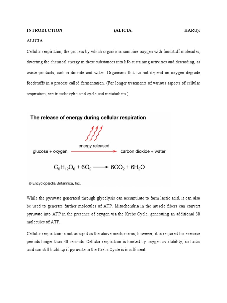 Genbio (Peta) | PDF | Cellular Respiration | Adenosine Triphosphate