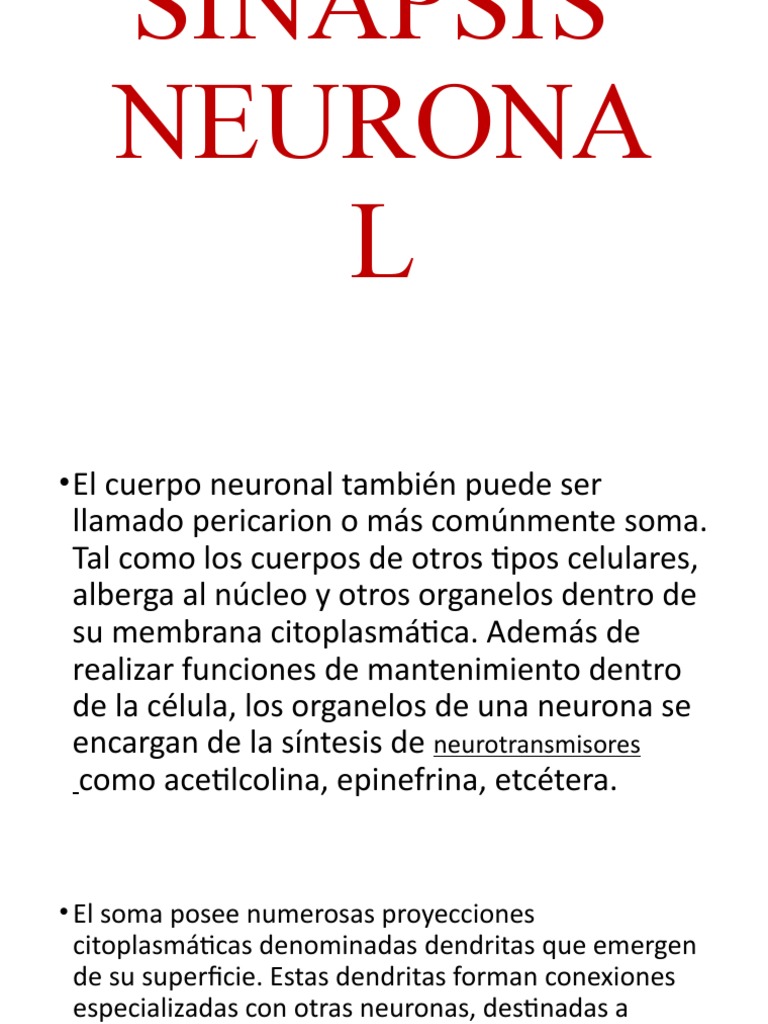 Tema 3 - 2 Sinapsis Neuronal | PDF | Sinapsis | Sinapsis química