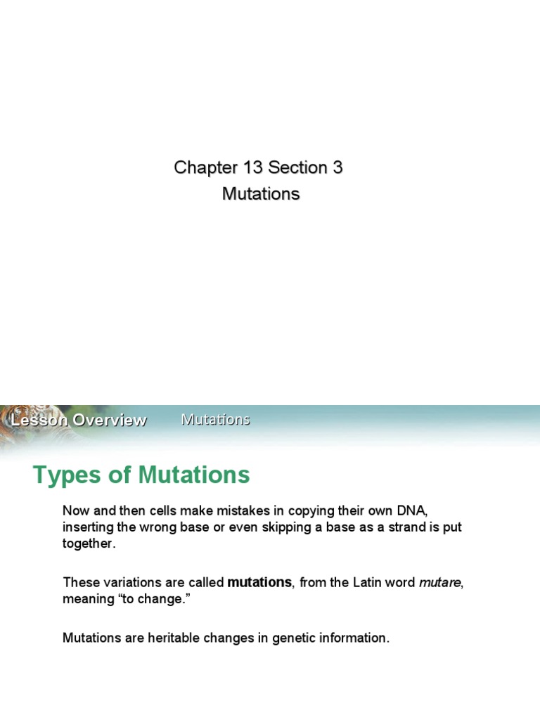 CH 13 Sec 3 Notes | PDF | Mutation | Gene