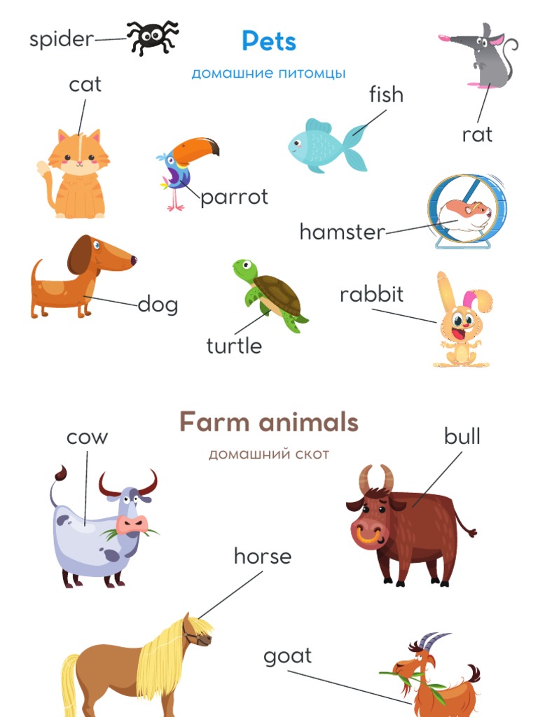 Overview of Common Animals | PDF