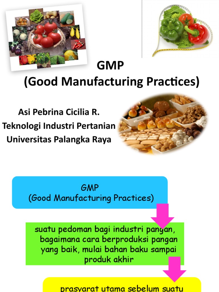 Good Manufacturing Practices1 | PDF