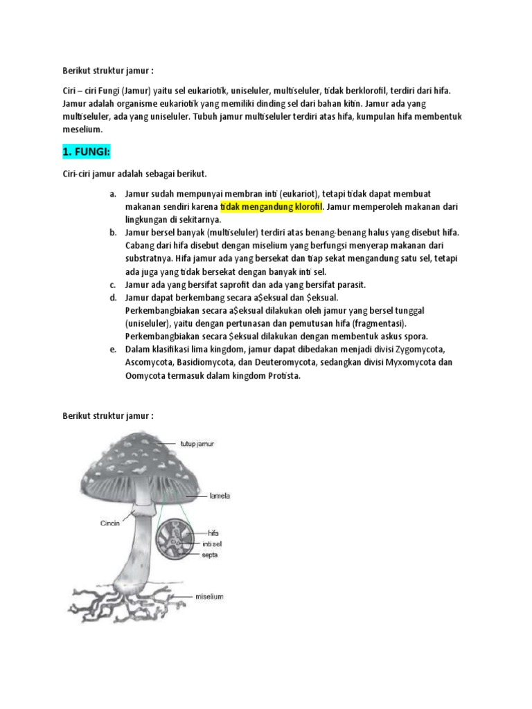 Struktur dan Ciri-Ciri Jamur | PDF | Griya & Taman | Sains & Matematika