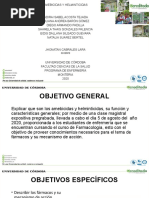 Amebax Inserto WEB | PDF | Ciencias de la Salud | Medicina CLINICA