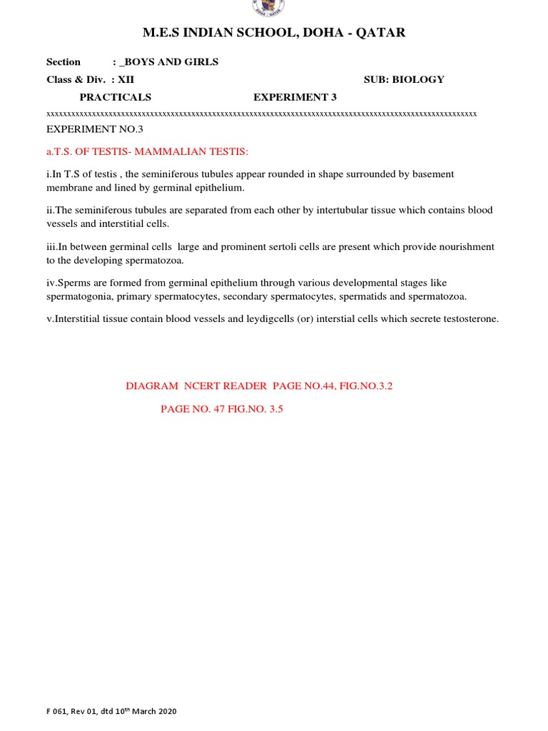 Bio - Exp.3 Class Xii | PDF | Testicle | Ovary