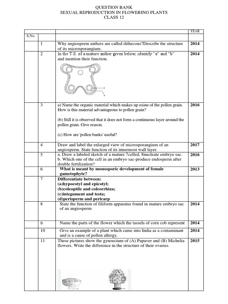 Sexual Reproduction in Flowering Plants | PDF | Seed | Pollen
