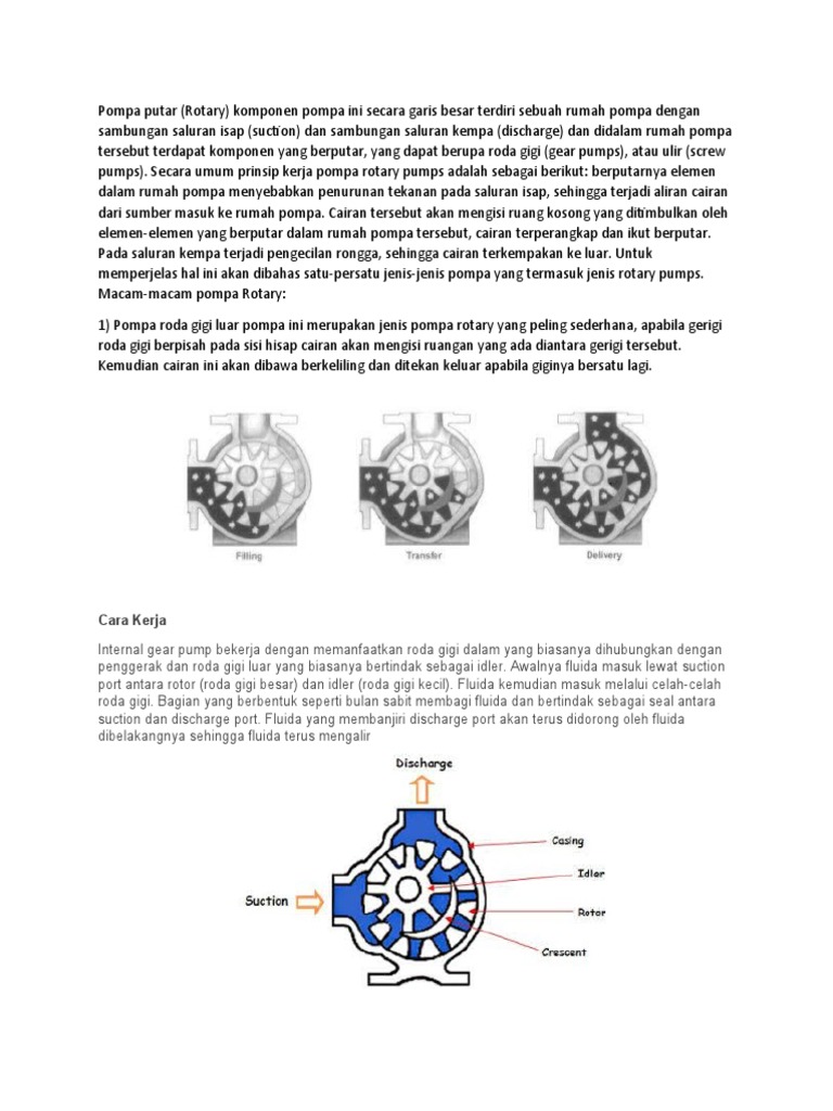 Pompa Rotary | PDF
