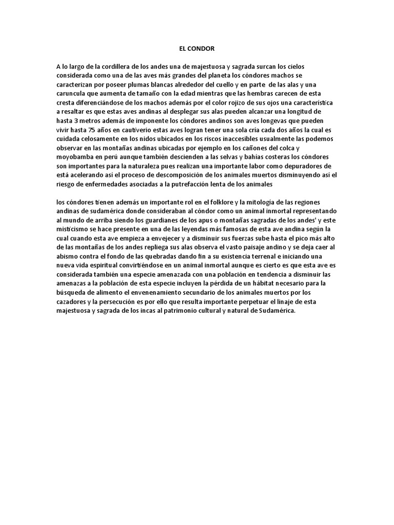 El Condor | PDF | Aves | Ornitología