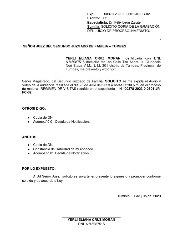 Escrito para Solicitar Audiencia | PDF