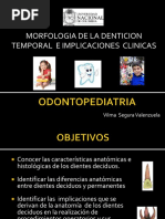 Cíngulo Dental: Revisión y Funciones | PDF | Boca | Odontología
