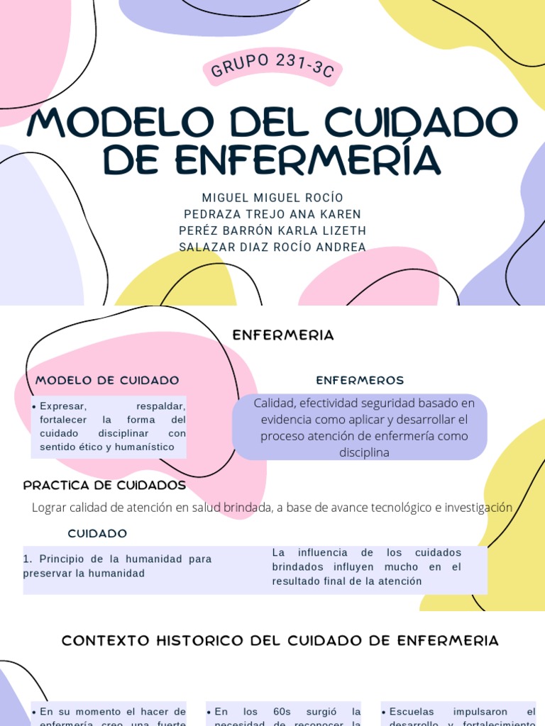Modelo Del Cuidado de Enfermería | PDF