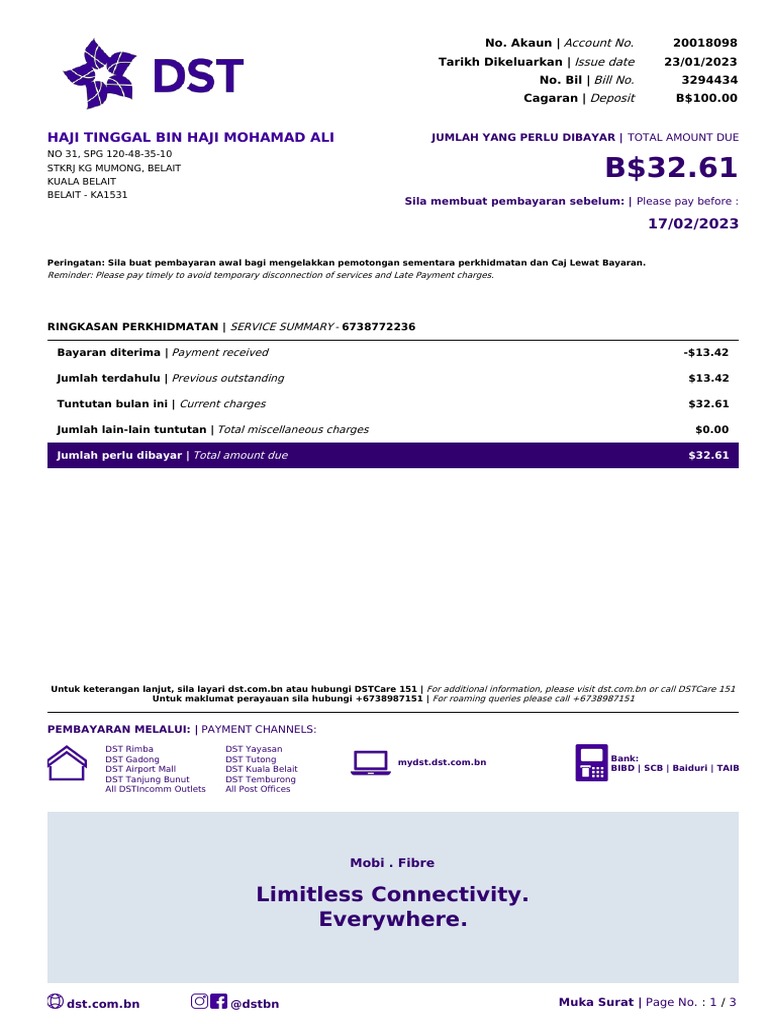 DST Billing Statement | PDF | Service Industries | Mobile Technology