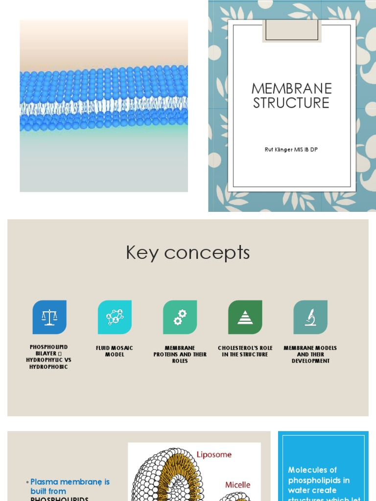 Membrane Structure | PDF