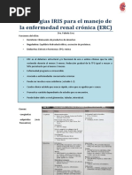 Tratamiento de ERC en Gatos: Guía 2019 | PDF | Medicamentos con receta ...