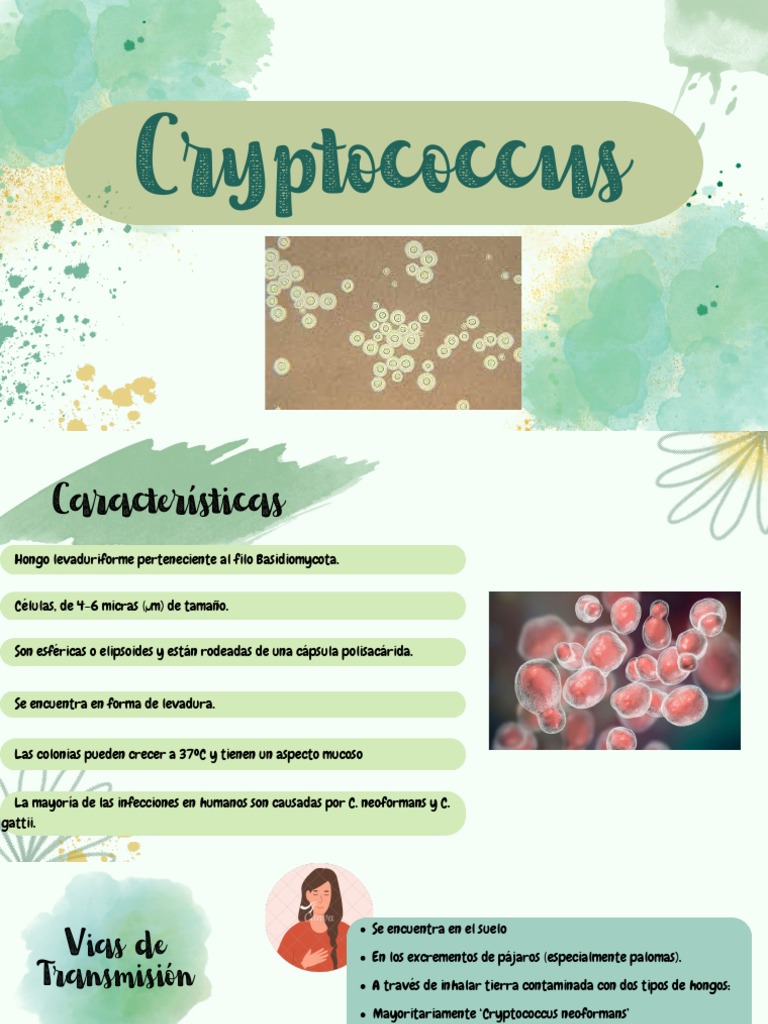 Cryptococcus | PDF | Meningitis | Causas de la muerte