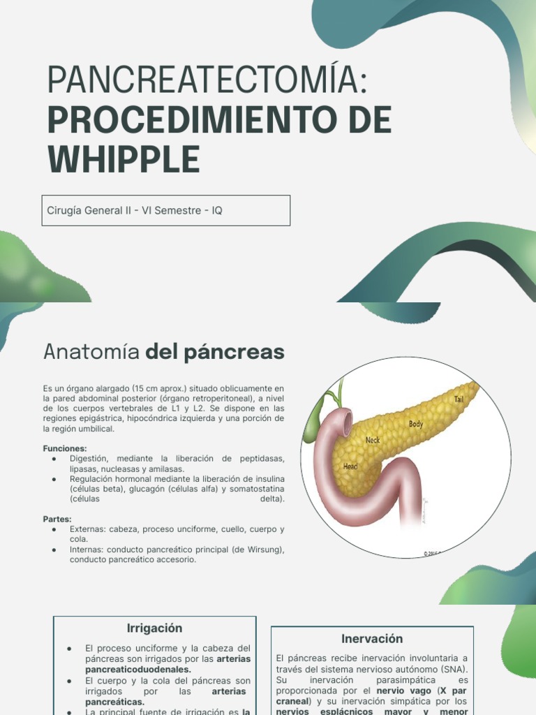 Tecnica de Whipple 230519 154011 | PDF | Páncreas | Cirugía