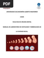 Origen Embrionario de Los Tejidos | PDF | Embrión | Biología del desarrollo