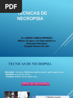 Anatomia de Mesorecto | PDF | Cáncer colonrectal | Cirugía