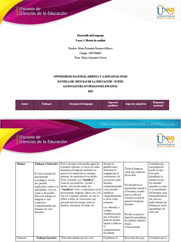 Anexo 1 - Formato - Tarea 1 - Matriz de Análisis | PDF | Aprendizaje | Aquisición de idioma