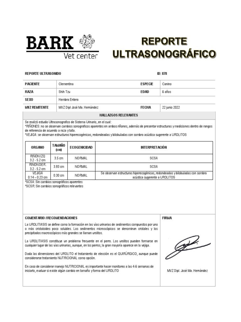 Ultrasonido Canino: Urolitos en Shih Tzu | PDF | Ultrasonido ...