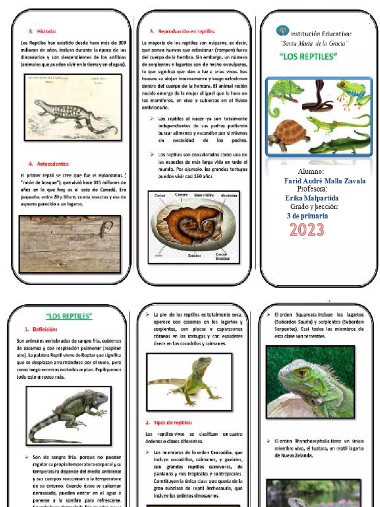 Los Reptiles | PDF