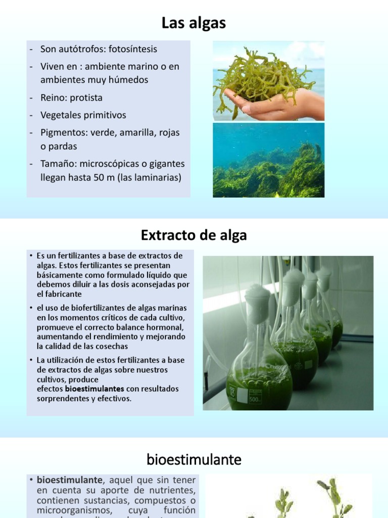 ALGAS | PDF | Suelo | Plantas