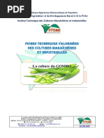 Guide de culture du macabo au Cameroun | PDF | Fertilisant | Maïs