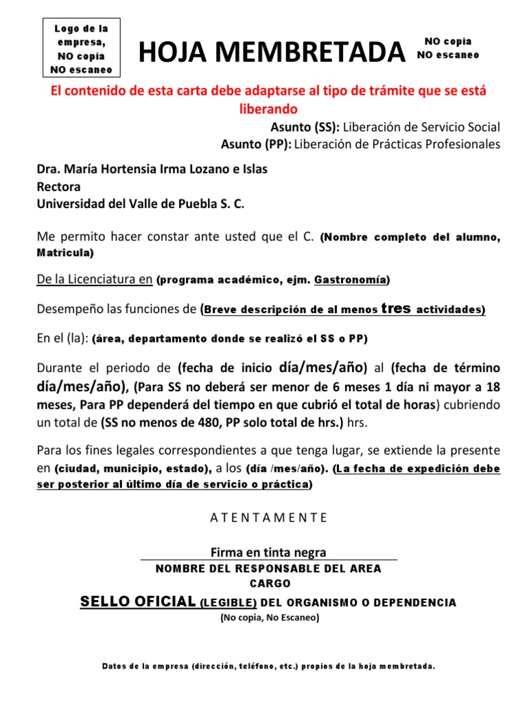 P8.1,7E Carta de Liberación | PDF