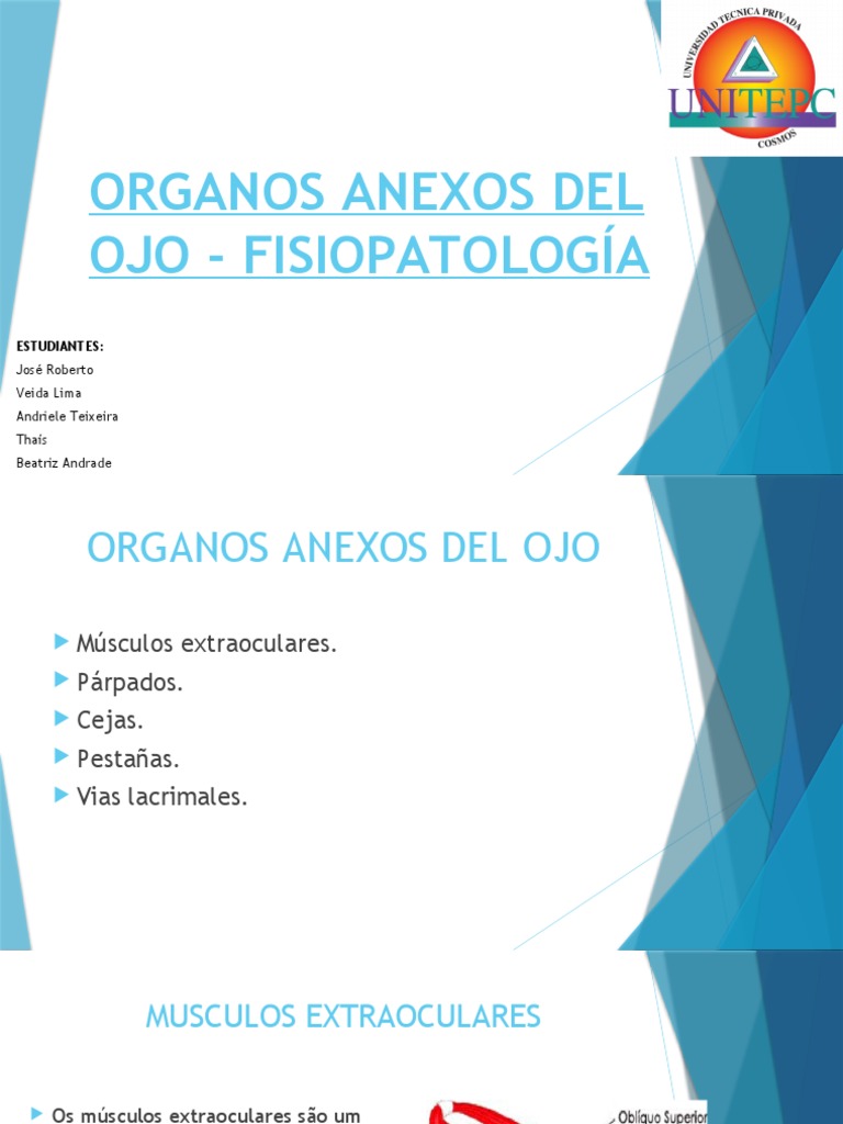 Organos Anexos Del Ojo - Fisiopatología | PDF