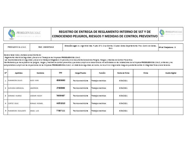 Entrega de RISST | PDF