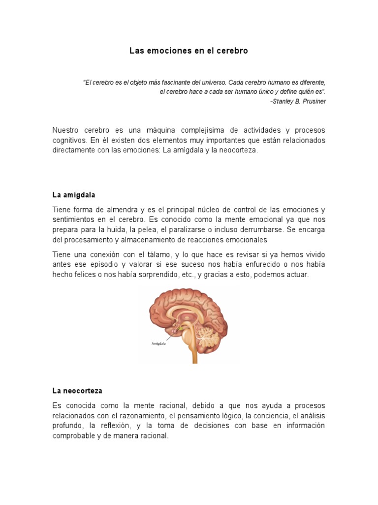 1 5 Las Emociones En El Cerebro Pdf