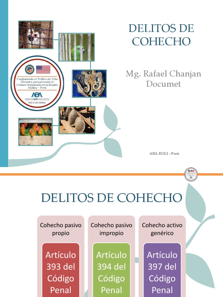 Clase #1 - Cohecho | PDF | Soborno | Castigos