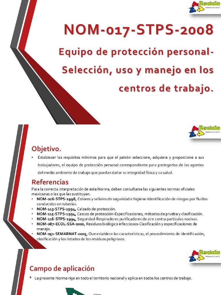 Nom 017 Stps | PDF