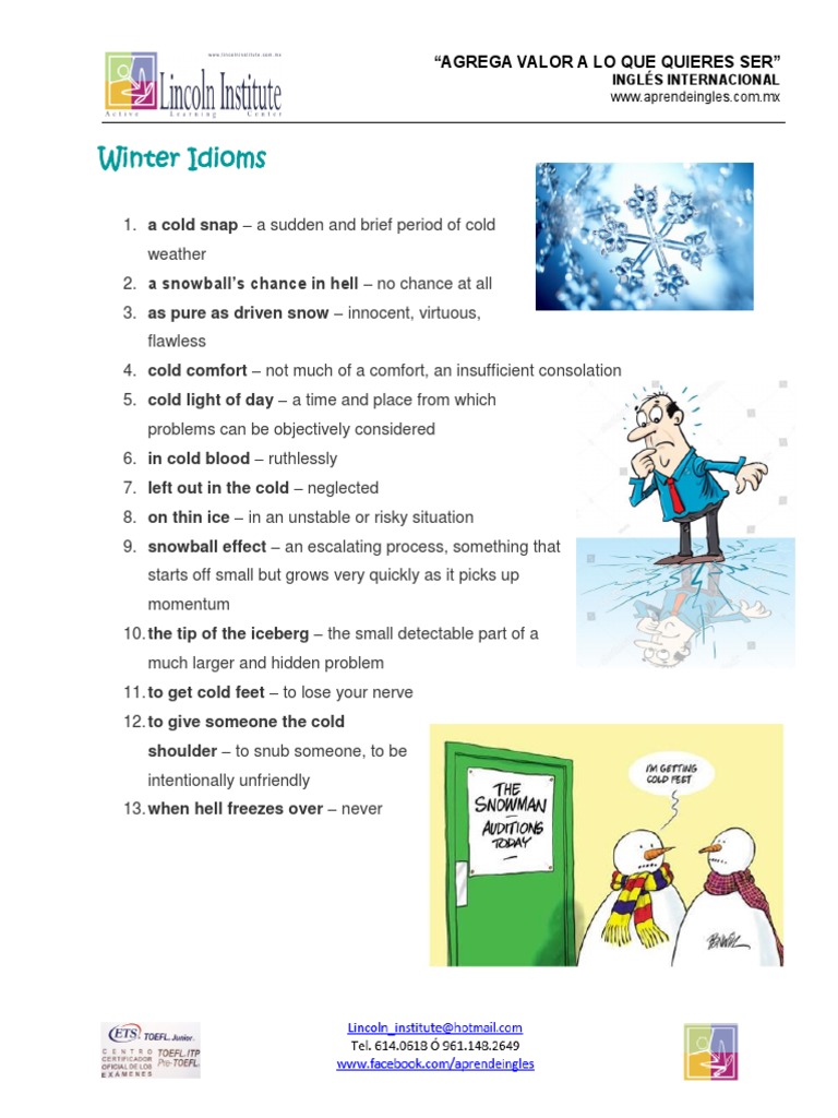 Winter Idioms | PDF