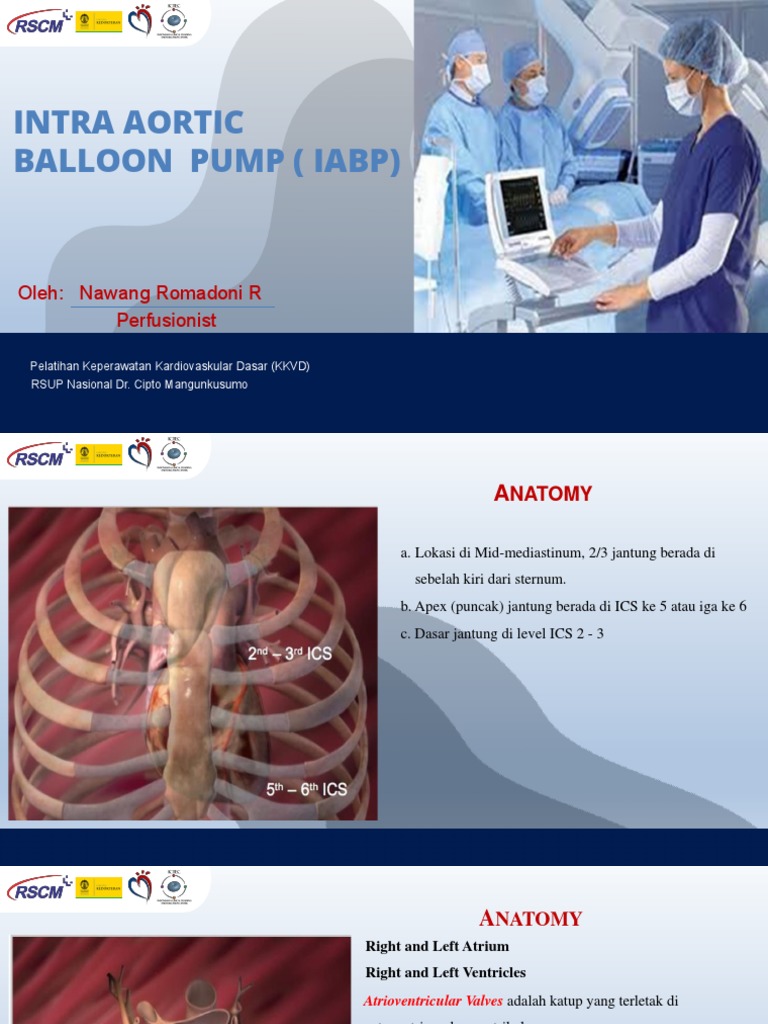 Fungsi Alat Bantu Sirkulasi IABP | PDF