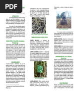Mosca Pinta-1 | PDF | Control biológico de plagas | Plaga (organismo)