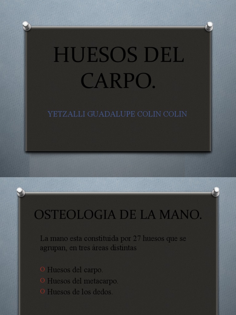 Huesos Del Carpo
