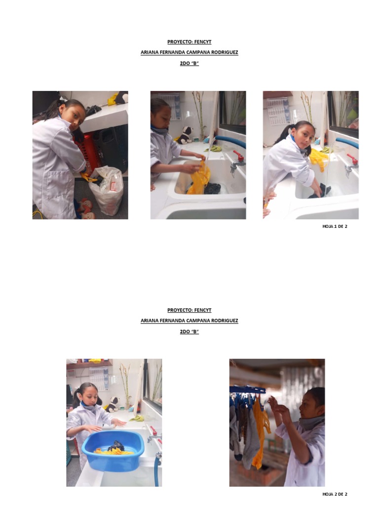 Proyecto Fencyt | PDF