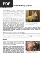 Silverbrow (Human Variant) by ClockWork Dragon | PDF