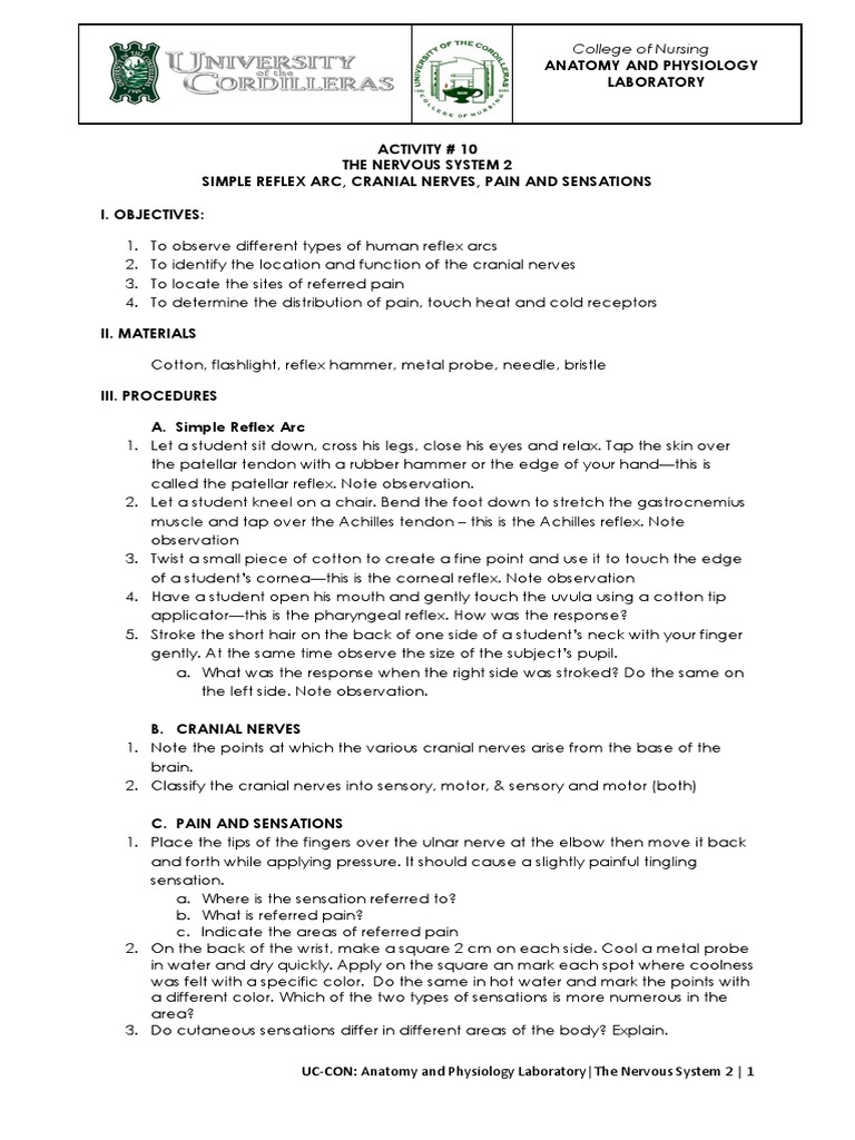 10 The Nervous System 2 | Download Free PDF | Pain | Senses