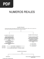 01 Clasificación de Los Números Reales | PDF | Números | Número Real